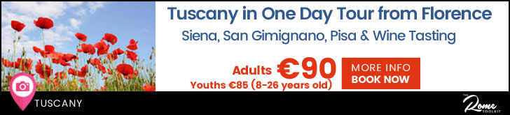 Visiting Pisa from Florence by tour or public transport